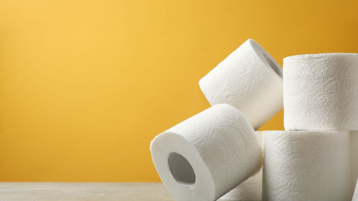 Comparaison des marques de papier toilette les plus populaires